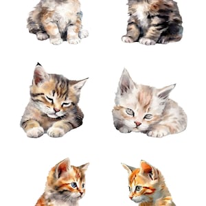 Watercolor Cats Collection Animal Kitten Clipart Pet Cats Clipart Cute ...