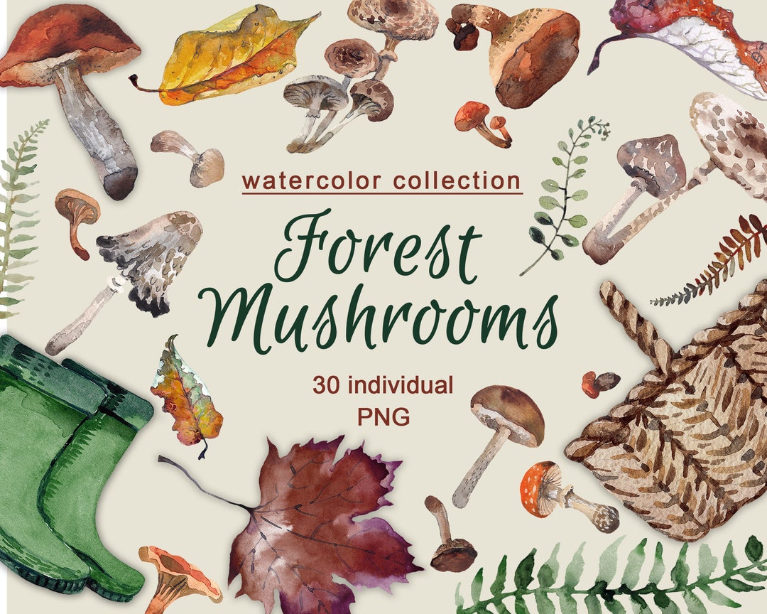 Watercolor Autumn Mushrooms Clipart Fall Time Woodland Forest Leaves ...