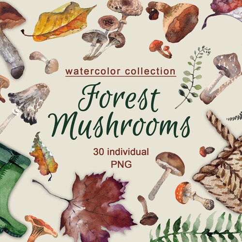 Watercolor Autumn Mushrooms Clipart Fall Time Woodland Forest - Etsy