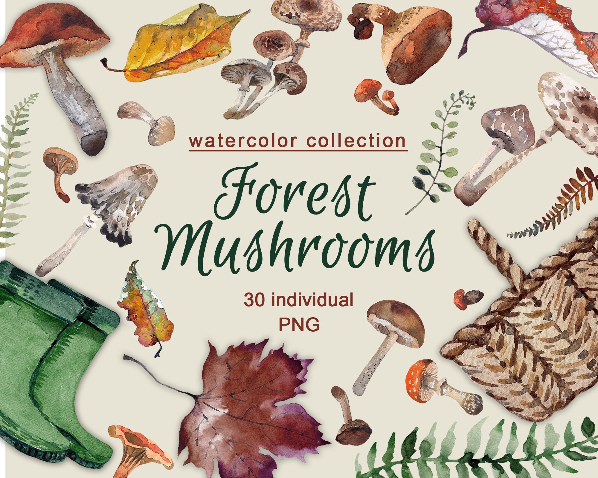 Watercolor Autumn Mushrooms Clipart Fall Time Woodland Forest Leaves ...