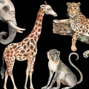 Watercolor African Animals Clipart Wild Animals Logo Design Lion Safari ...