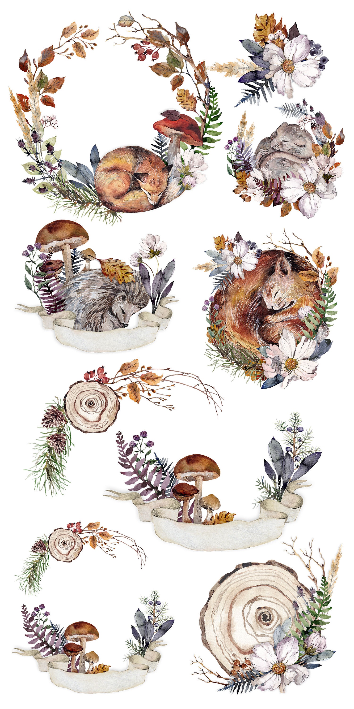 Woodland Animals Clipart Forest Autumn Compositions With Watercolor Fox ...