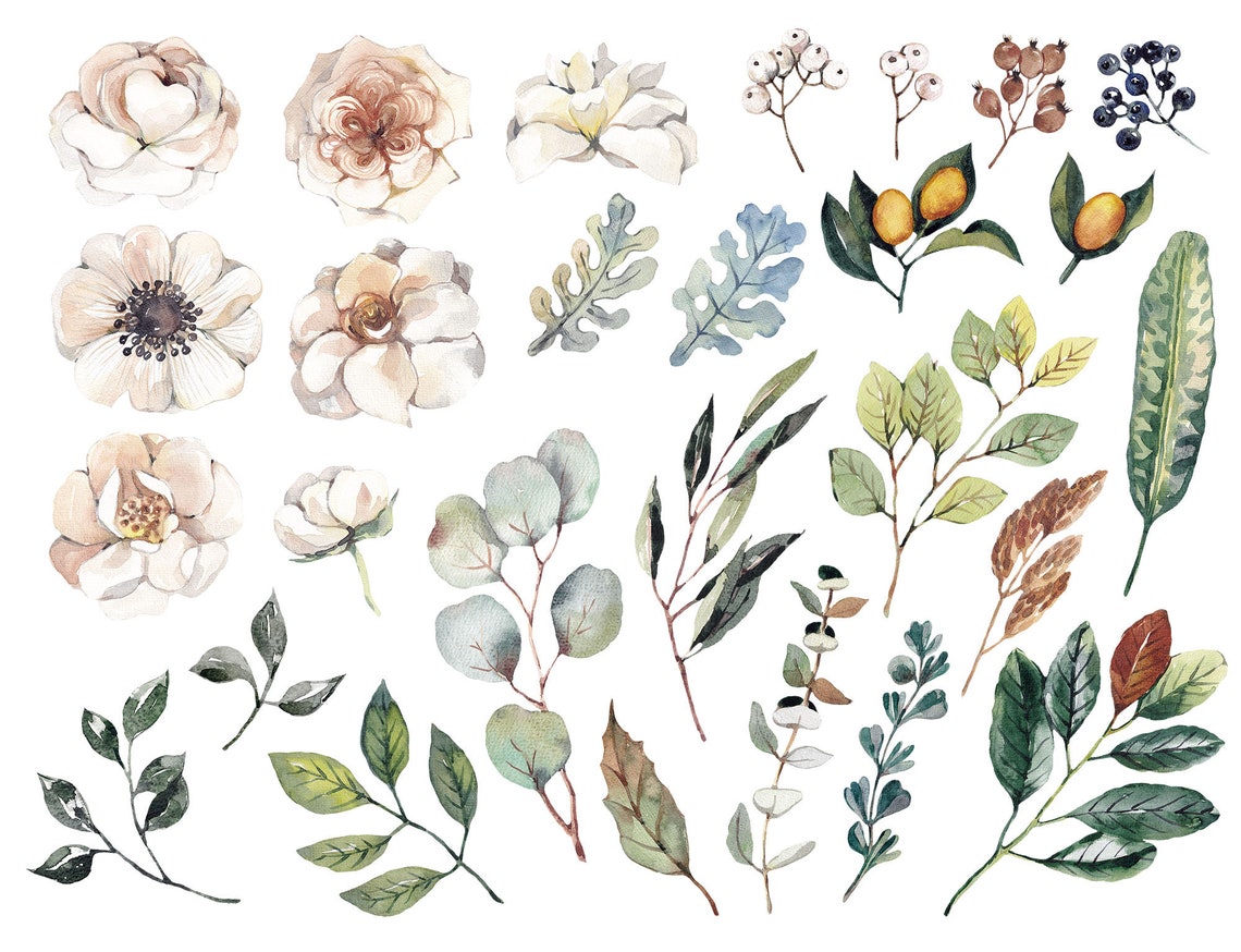 Watercolor Floral Clipart Eucalyptus Clipart Watercolor Roses White ...