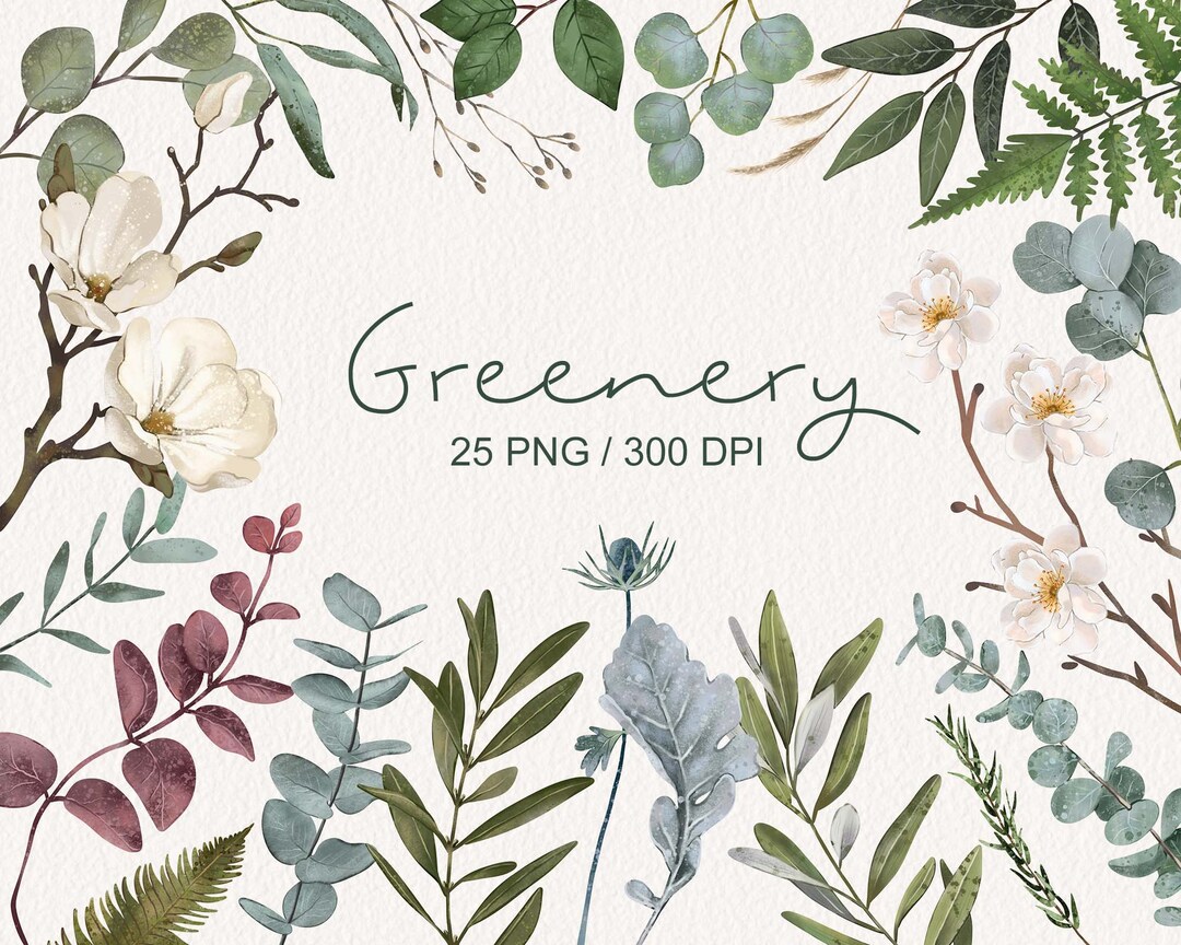 Hand Drawn Greenery Leaves Foliage Clipart Forest Leaves Baby ...