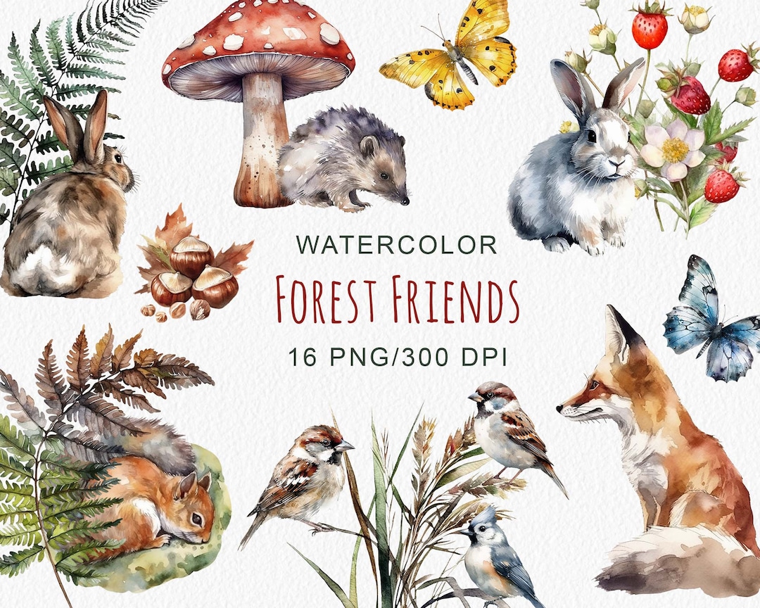 Watercolor Woodland Animals Clipart Cute Woodland Animals Squirrel Fox ...