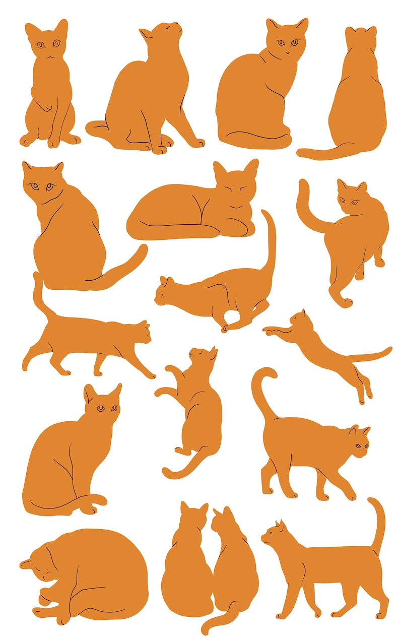 Digital Cats Collection Animal Cat Clipart Pet Cats Clipart Cute ...