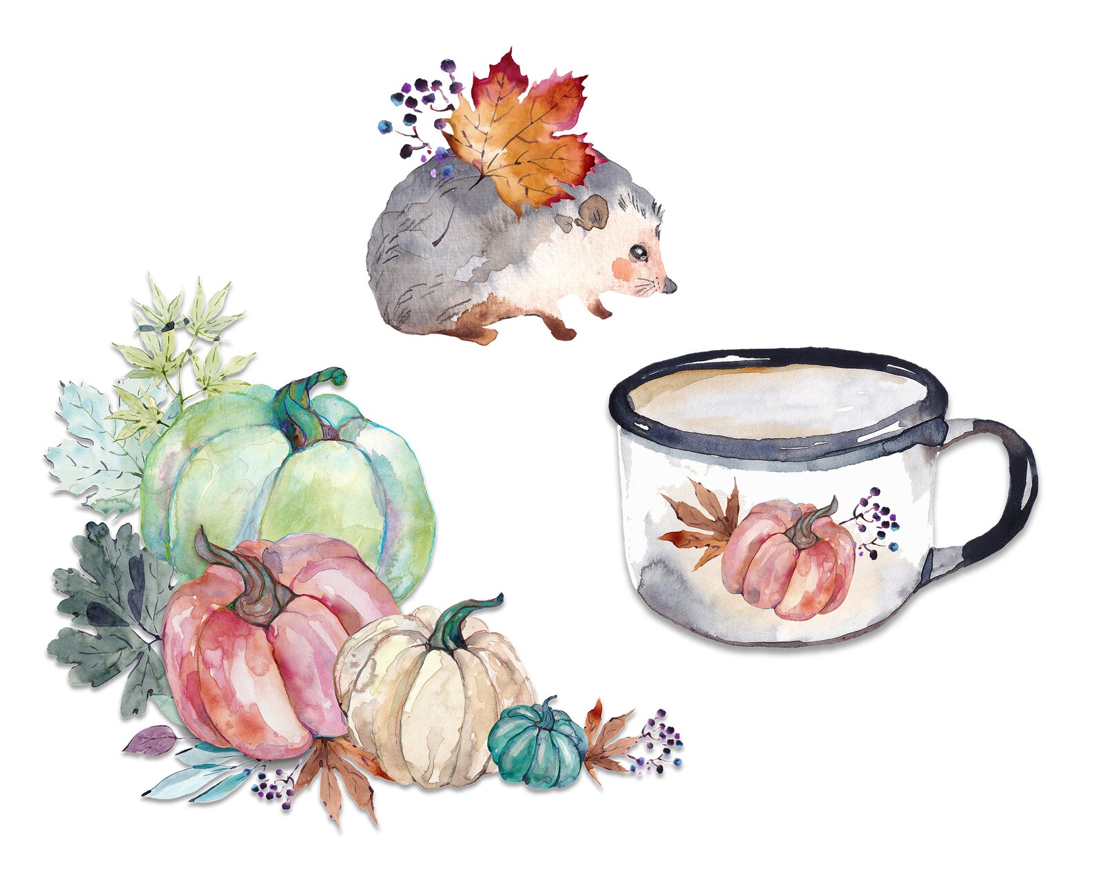 Watercolor Autumn Clipart Fall Clipart Pumpkin Fall Leaves PNG | Etsy