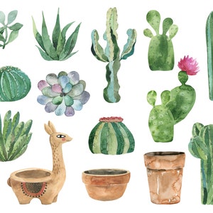Watercolor Succulent Clipart Home Watercolour Plant Cacti Digital ...