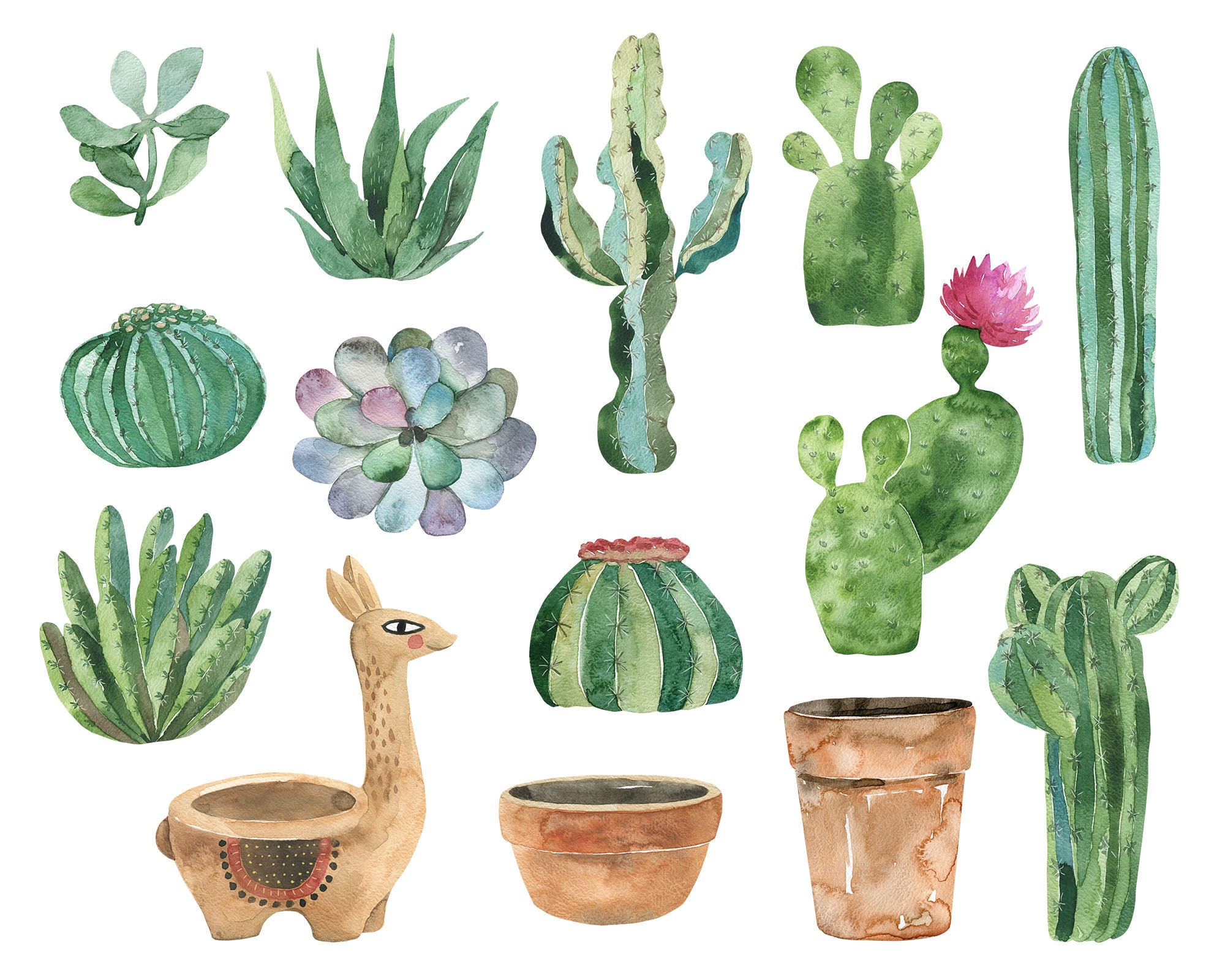 Watercolor Succulent Clipart Home Watercolour Plant Cacti - Etsy