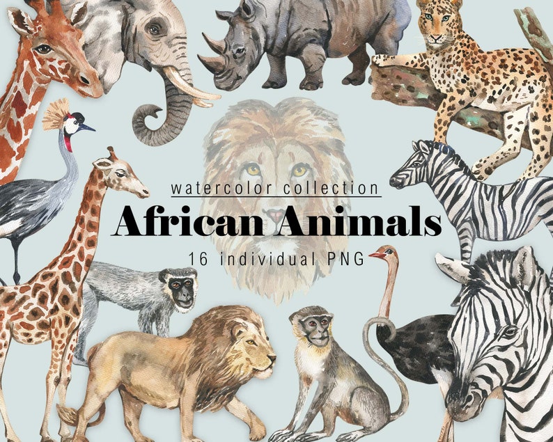 Watercolor African Animals Clipart Wild Animals Logo Design - Etsy
