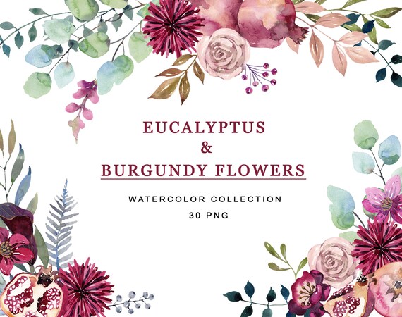 Eucalyptus Clipart Floral Elements Watercolor Clipart Pink | Etsy