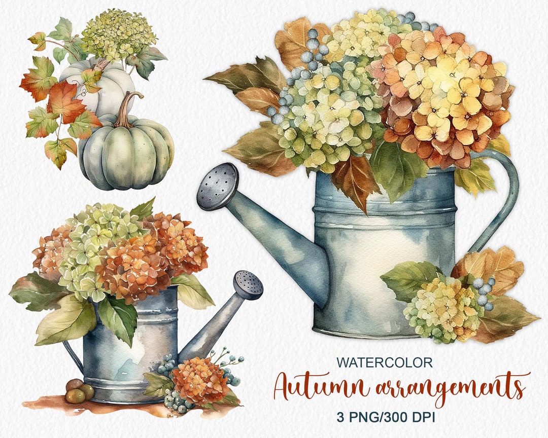 Watercolor Autumn Arrangements Hydrangeas Flowers Floral Clipart Autumn Farmhouse Clipart Rustic ...