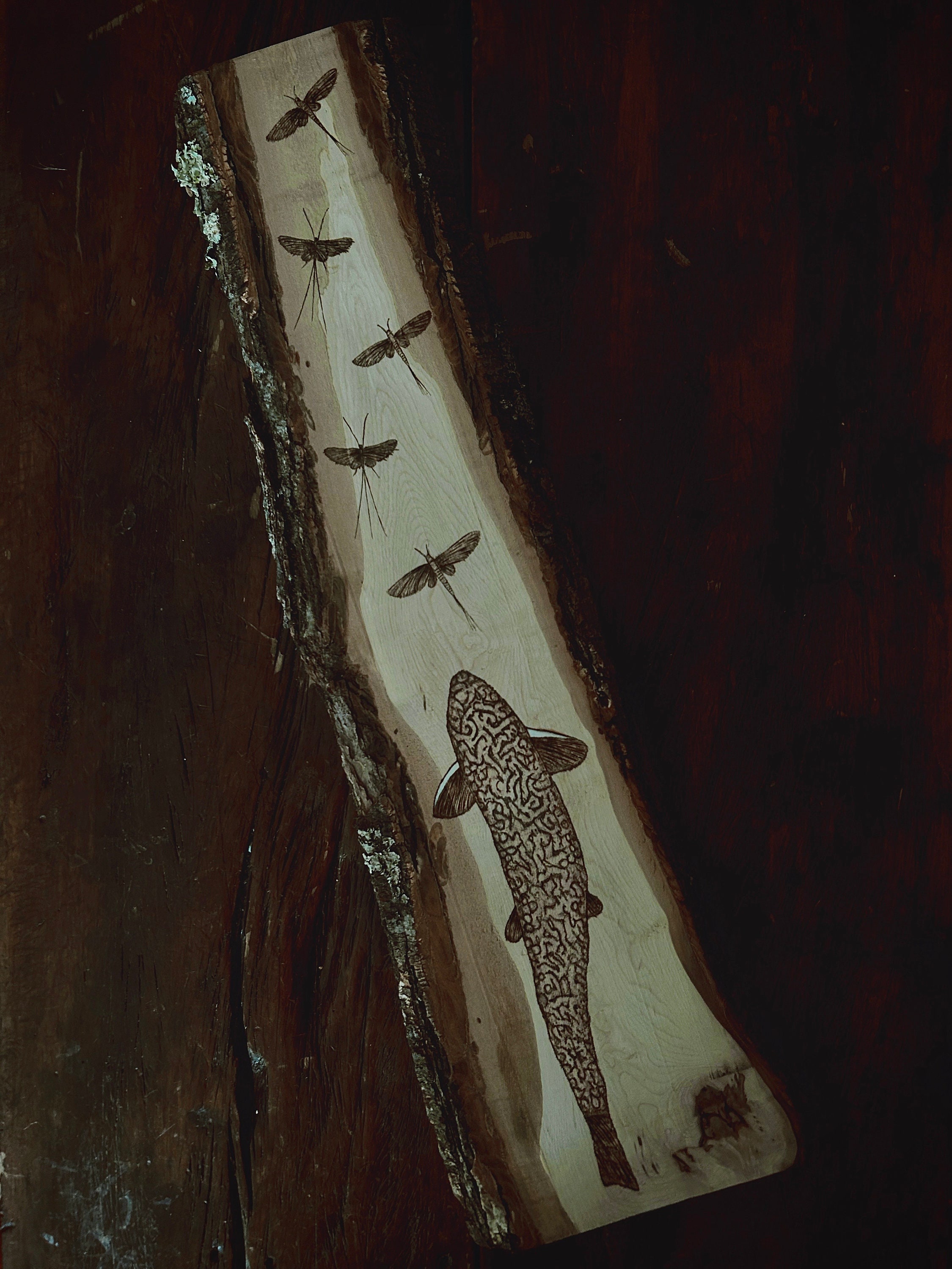 Brook Trout Chasing Mayflies Wood Burned Slice, Fisherman Gift, Wood ...