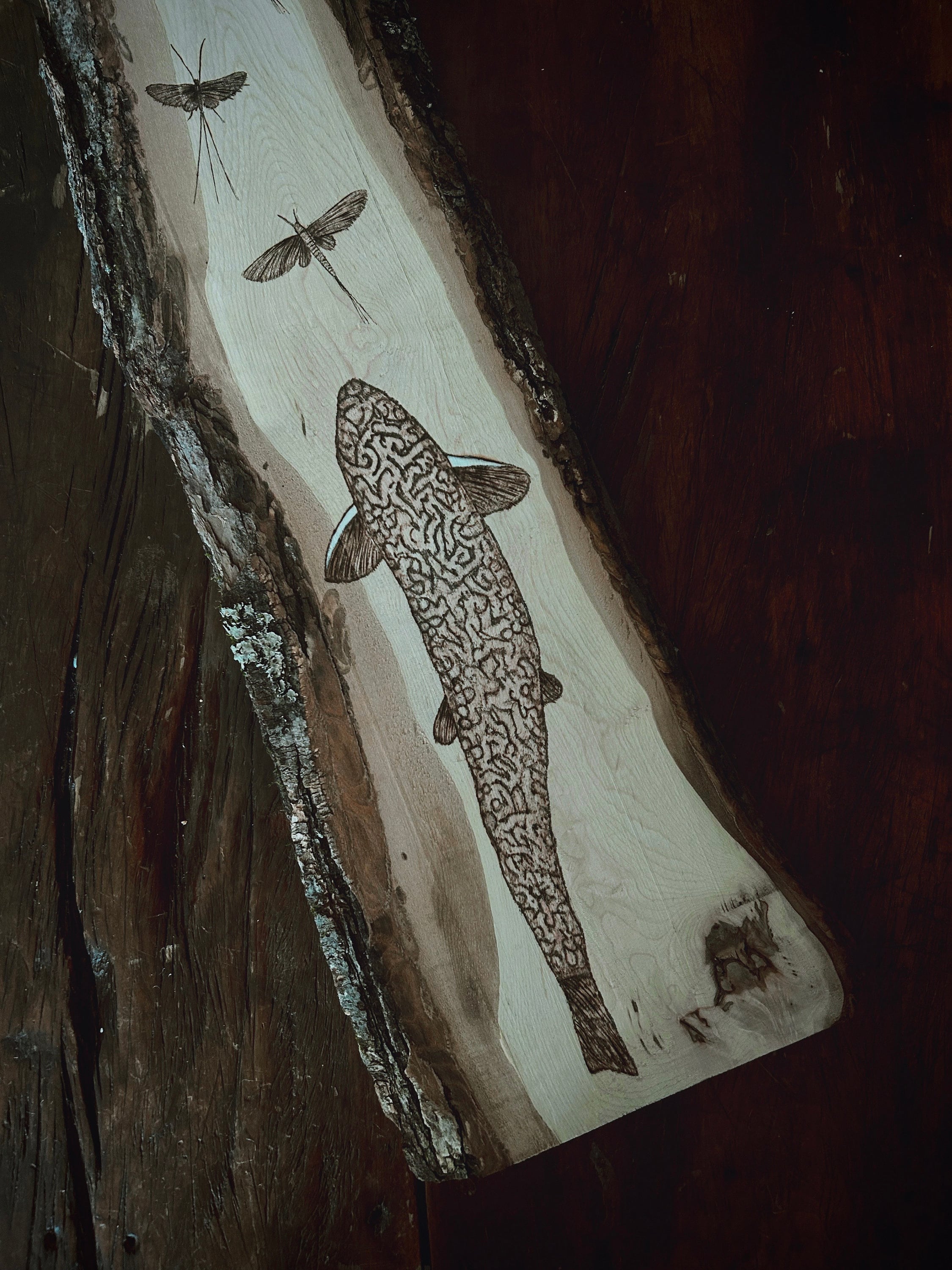 Brook Trout Chasing Mayflies Wood Burned Slice, Fisherman Gift, Wood ...