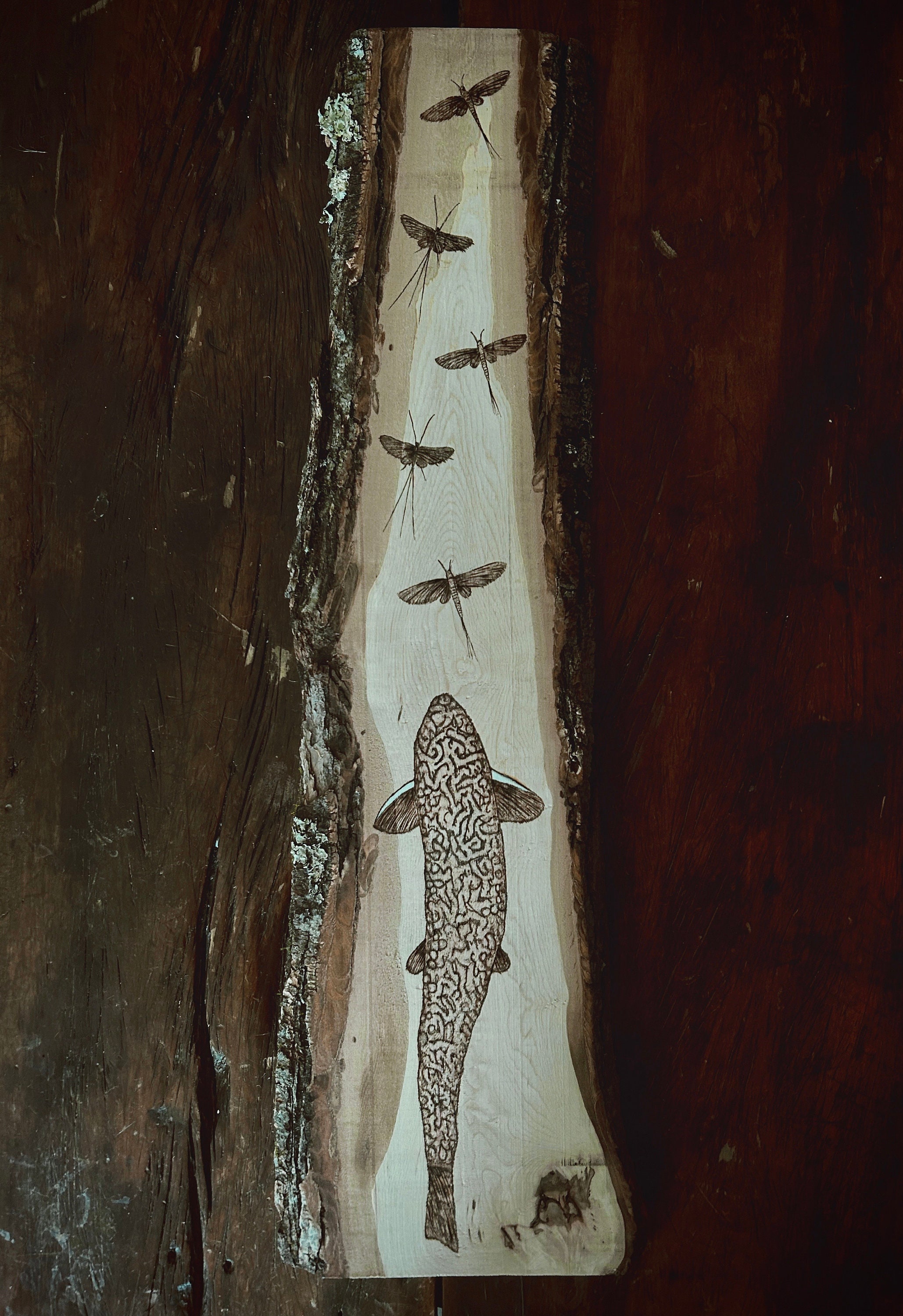 Brook Trout Chasing Mayflies Wood Burned Slice, Fisherman Gift, Wood ...