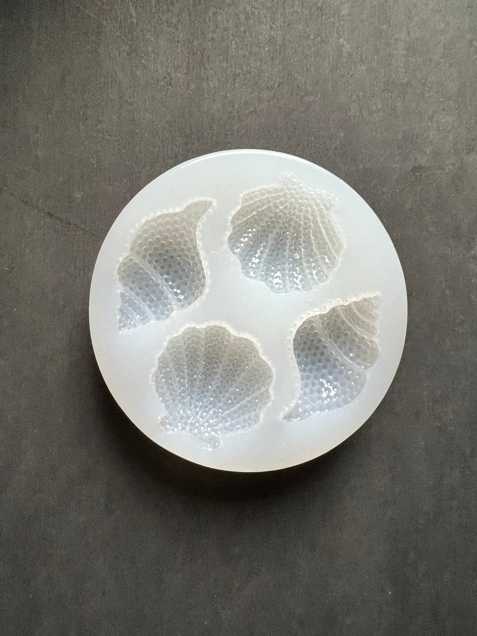 Multi-faceted Shell Conch Silicone Mold, Seashells Resin, Cake ...