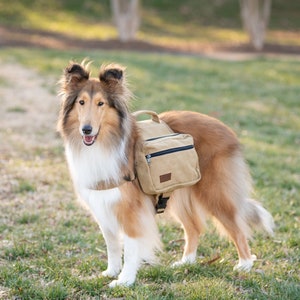 Boxdog Saddlebag for Dogs | Dog Harness Backpack - Etsy