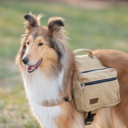 Boxdog Saddlebag for Dogs Dog Harness Backpack - Etsy
