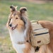 Boxdog Saddlebag for Dogs | Dog Harness Backpack - Etsy