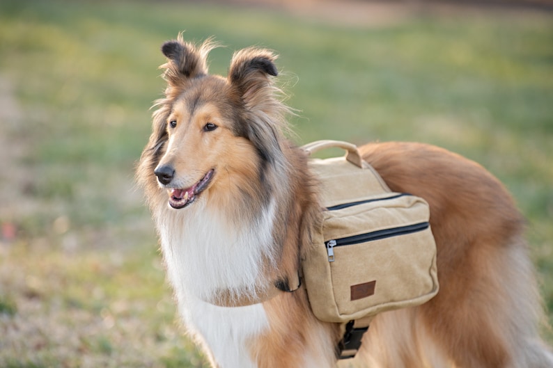 Boxdog Saddlebag for Dogs | Dog Harness Backpack - Etsy