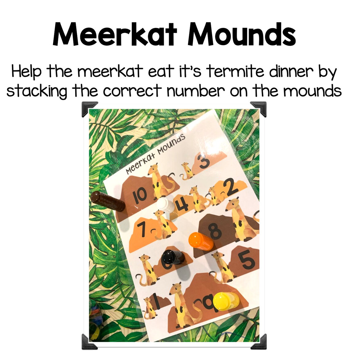 Wild Animals Preschool Printable Literacy & Math - Etsy