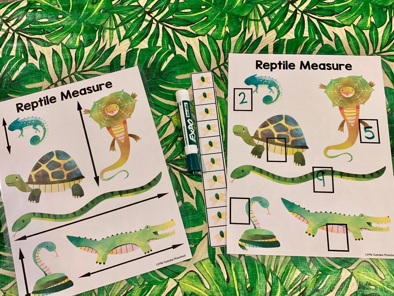 Wild Animals Preschool Printable Literacy & Math - Etsy UK