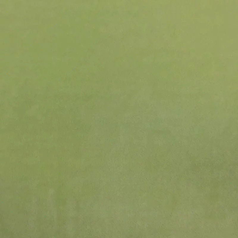 Lara LIGHT OLIVE Solid Smooth Minky Fabric for Quilting - Etsy