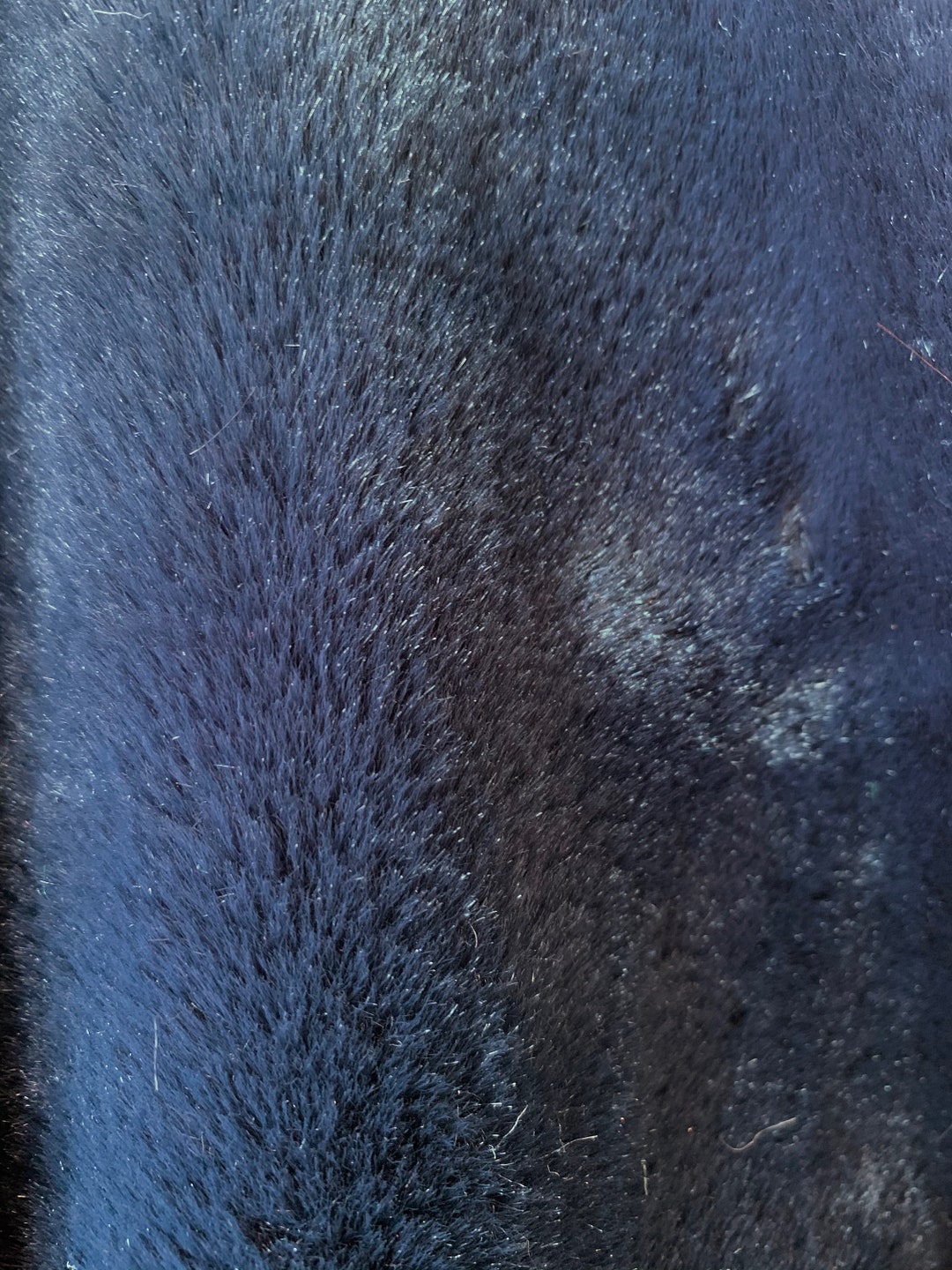 Czarina NAVY BLUE Ultra Soft Minky Rabbit Short Pile Faux Fur Fabric ...