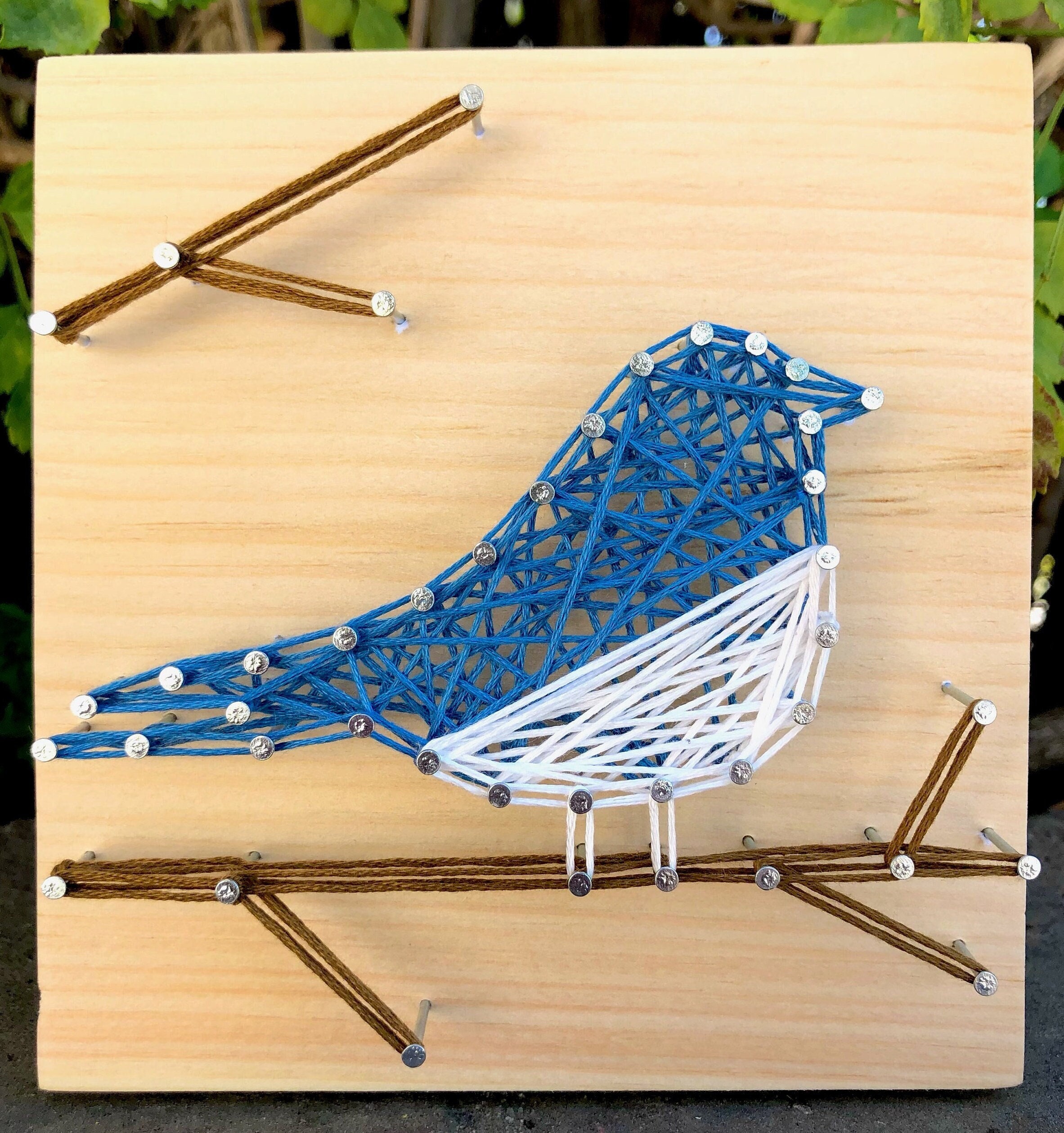 Bird on a Branch String Art Handmade Decor Cute Wall - Etsy