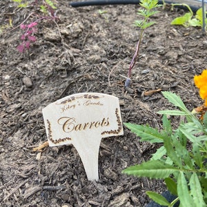 Personalized Garden Plant Marker Stakes - Etsy