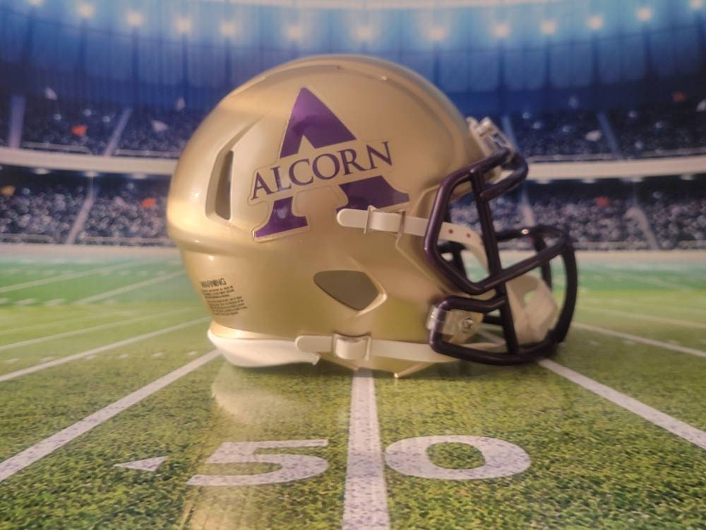 Alcorn - Mini Football Helmet - Etsy