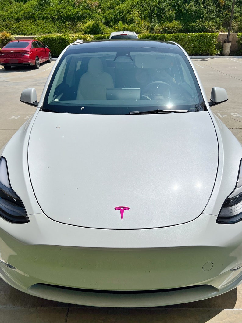 Tesla Model 3/Y Frunk Emblem Logo + Trunk Emblem Logo + Door Handles ...