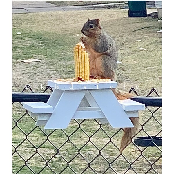 Animal Picnic - Etsy