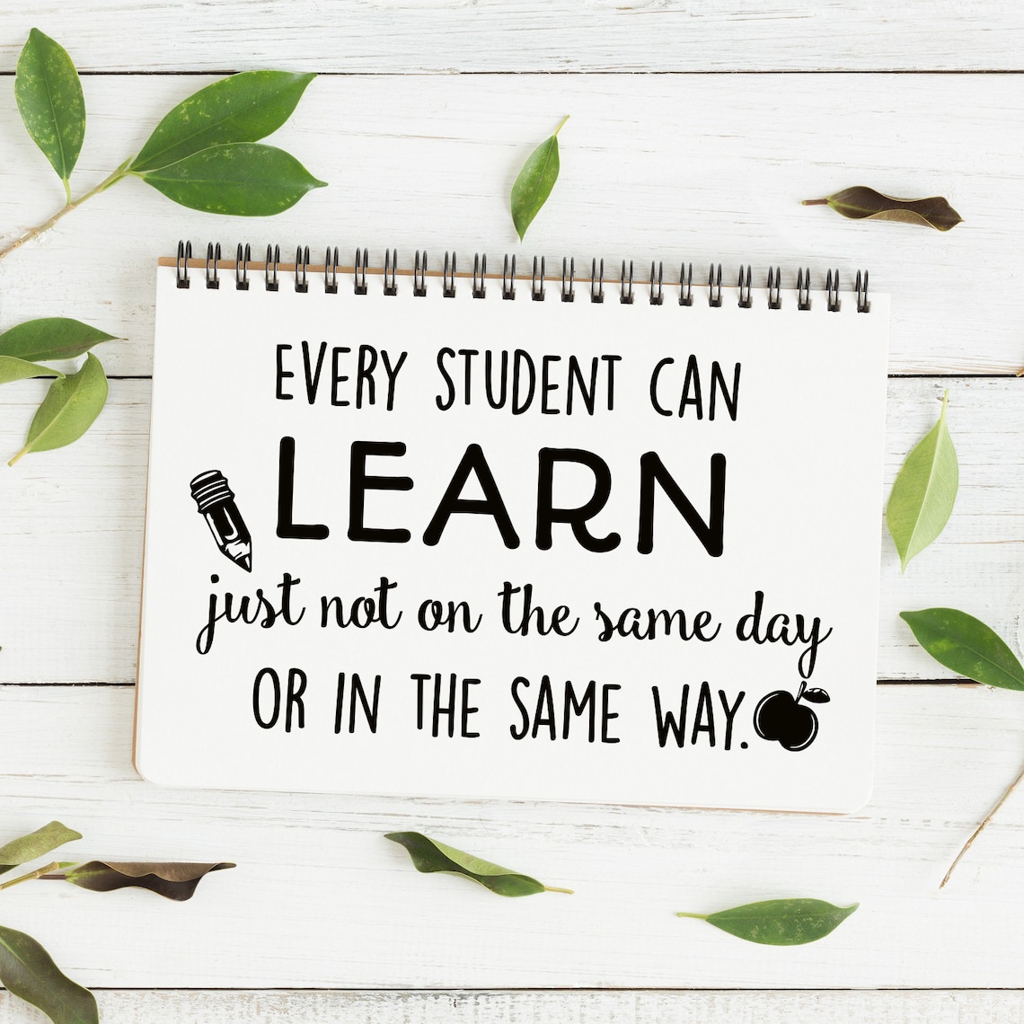 Every Student Can Learn Just Not on the Same Day or in the - Etsy