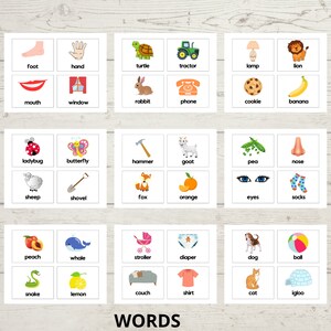 Printable Flashcard Bundle - Preschool Educational Learning Materials ...