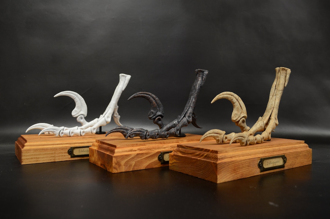 Velociraptor Paw - Etsy