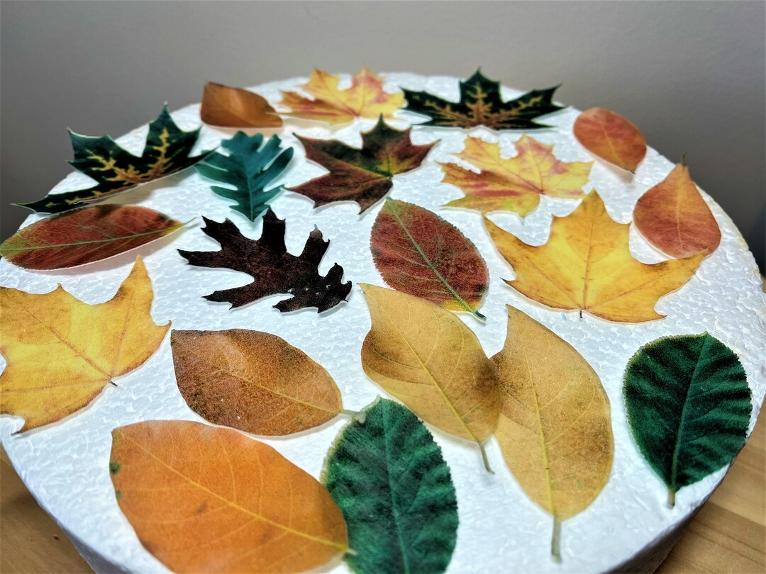 Set of 12,18,24 Autumn Leaves. Edible Wafer Paper Pre-cut Fall Leaves ...
