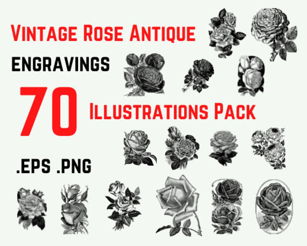 Rose Engraving, Vintage Sketches, Custom Gift, Vintage, Vintage ...