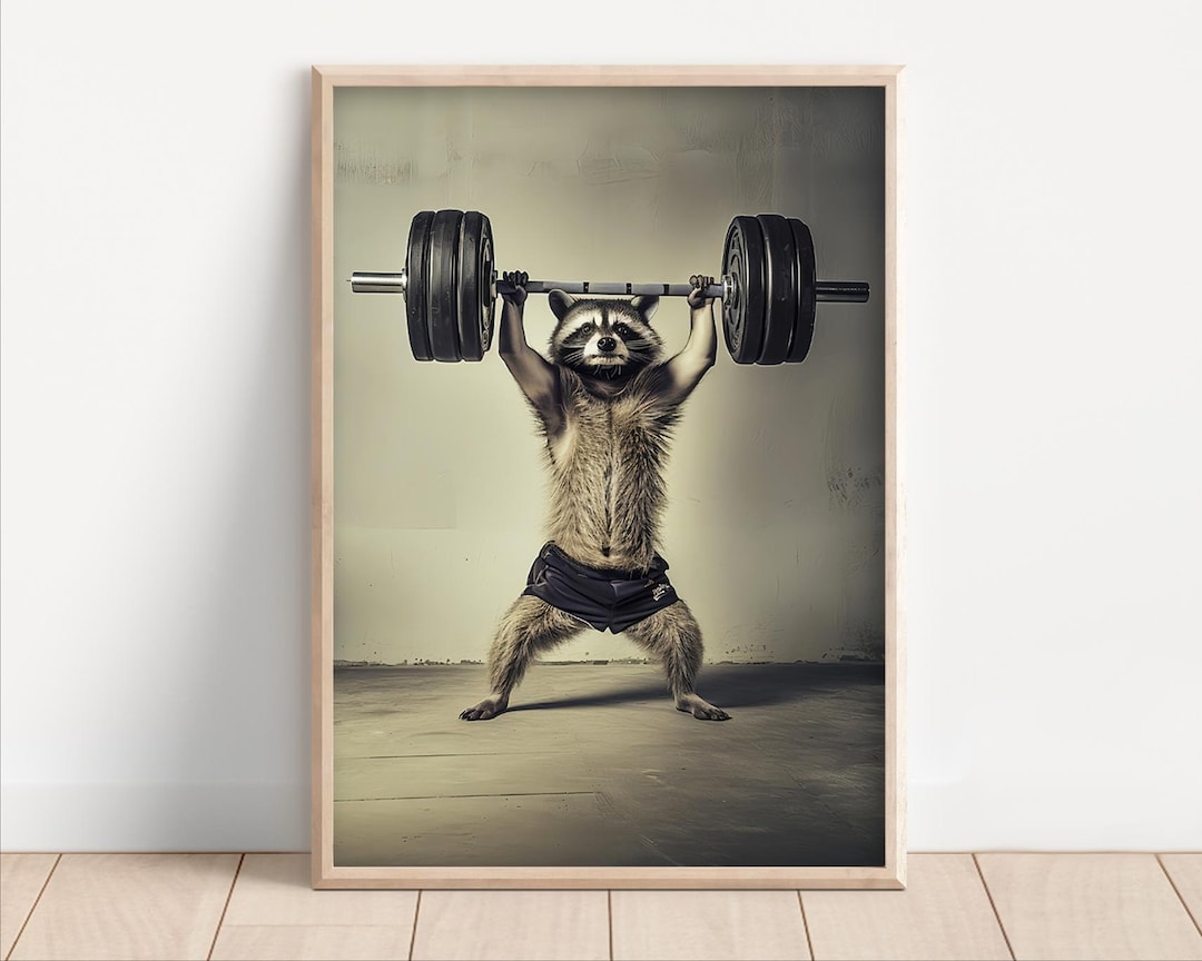 Bodybuilding Raccoon Print: Funny Gym Wall Art, Animal Workout, Poster ...