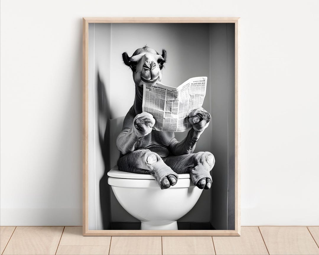 Camel on Toilet Reading Newspaper, Poster Canvas, Funny Bathroom Wall ...