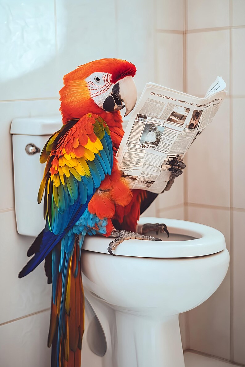 Parrot on Toilet Reading Newspaper, Poster Canvas, Funny Bathroom Wall ...