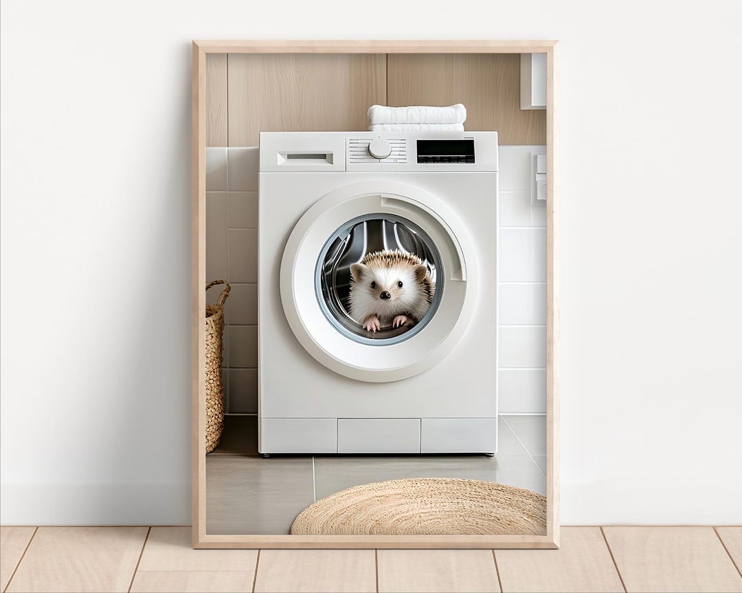 Hedgehog in Washing Machine Print: Funny Bathroom Laundry Room Decor - Etsy