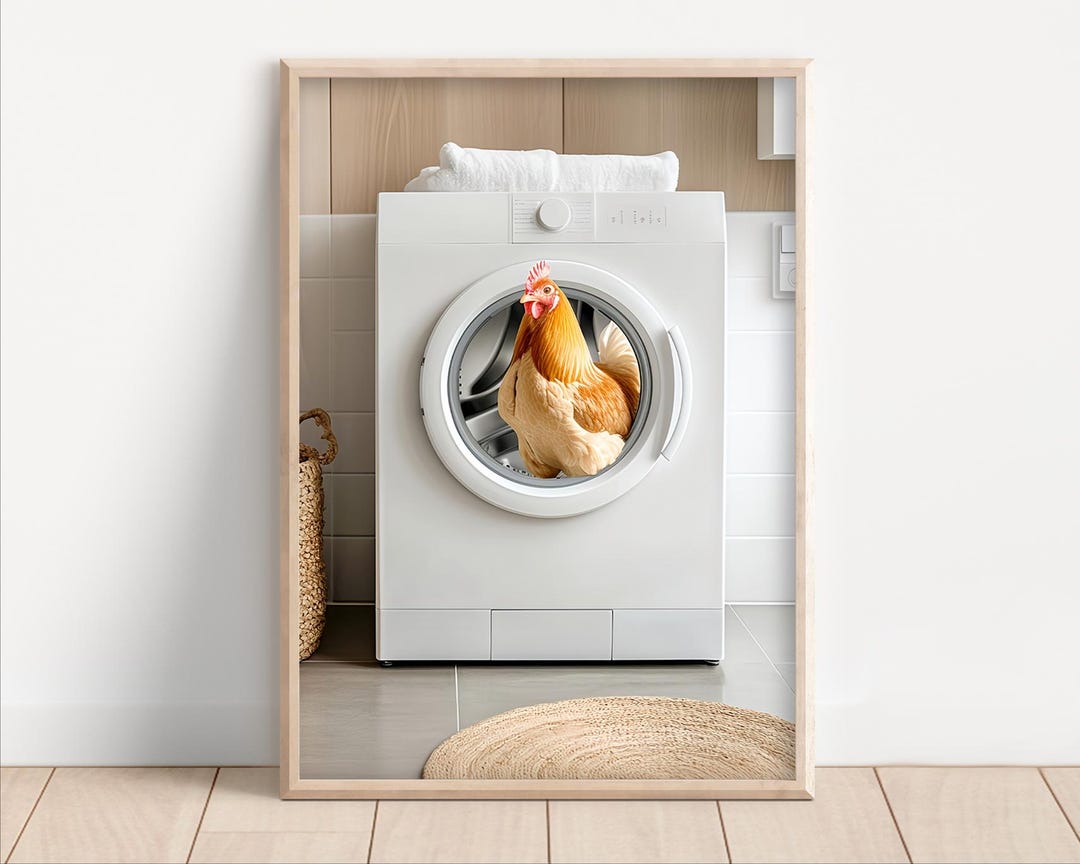 Chicken in a Washing Machine, Poster or Canvas, Funny Bathroom Wall Art ...