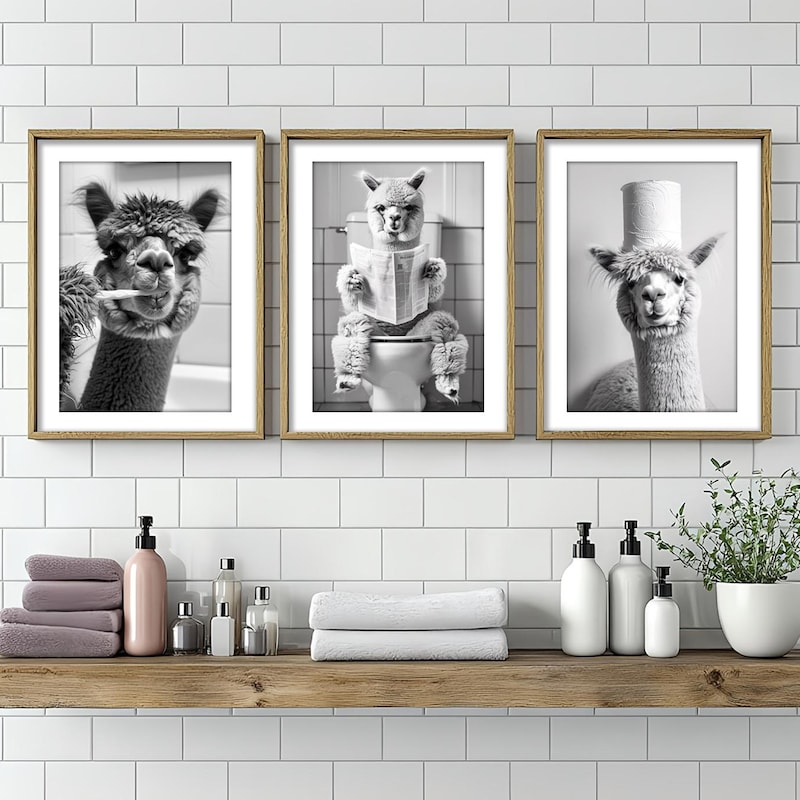 Framed Alpaca Picture - Etsy