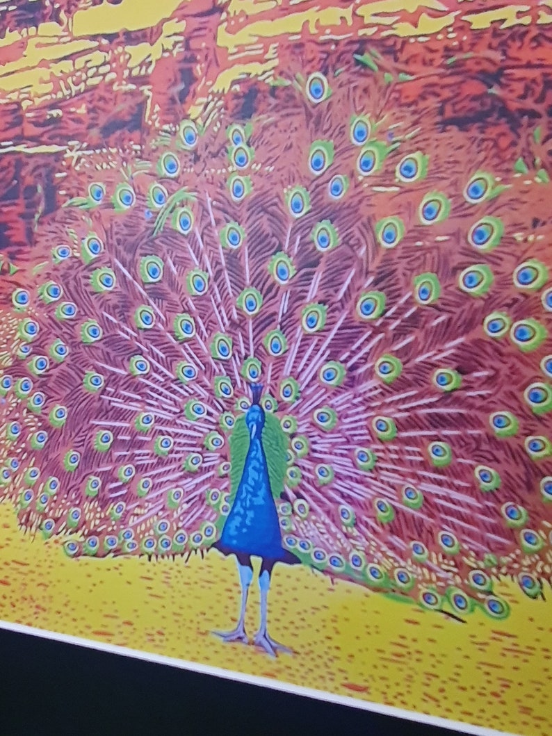 Peacock and the Pyramid, Psychedelic Art Print by Robbie - Etsy