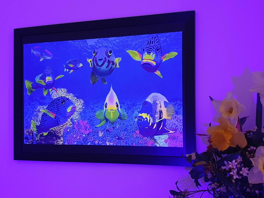 UV Blacklight Art Print, Reef Fish, Save Our Oceans, A2 Size - Etsy