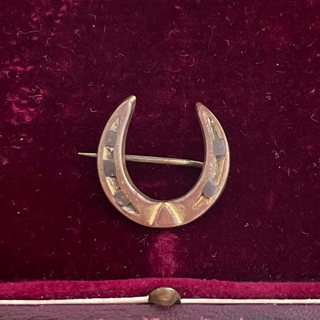 Antique Victorian Lucky Horseshoe Brooch Pin With Long Arm C-clasp ...