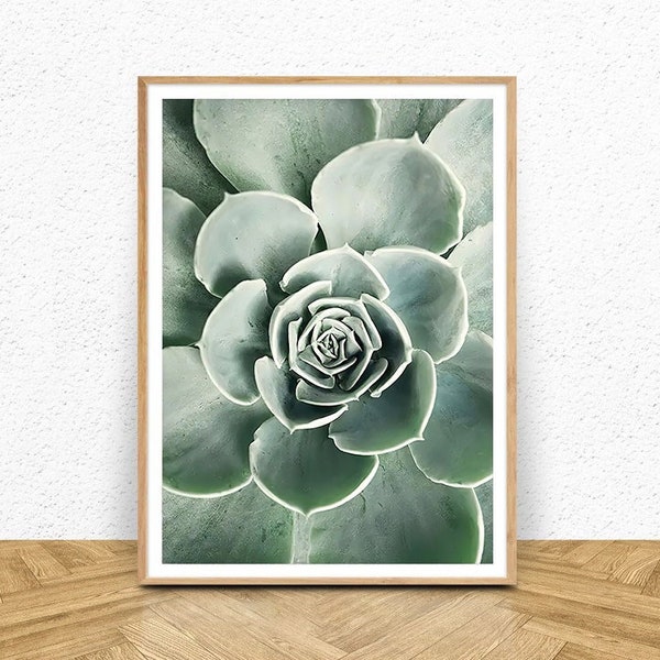 Succulent Wall Art - Etsy