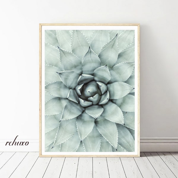 Succulent Print - Etsy