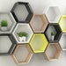 Hexagon Shelf 6 Pack - Etsy